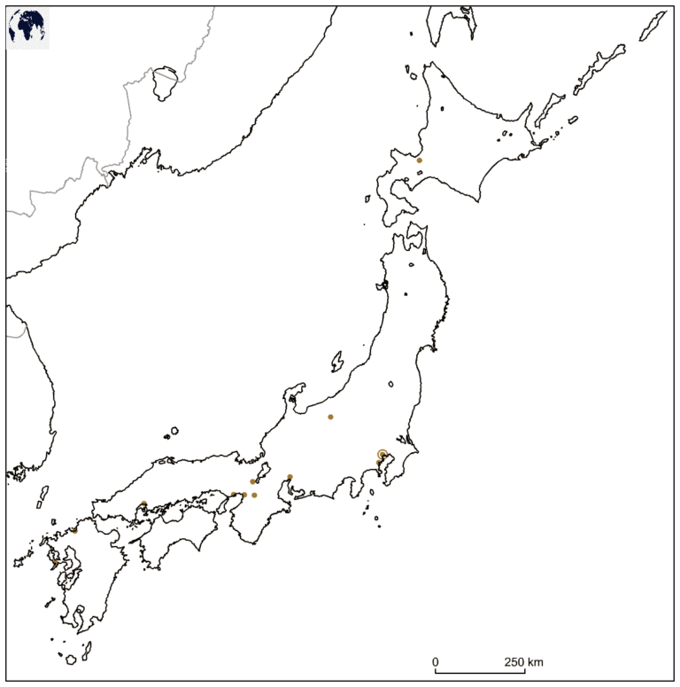 Printable Japan Blank Map with Outline, Transparent Map PDF