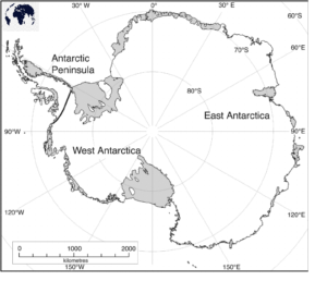 Printable Blank Antarctica Map with Outline, Transparent Map